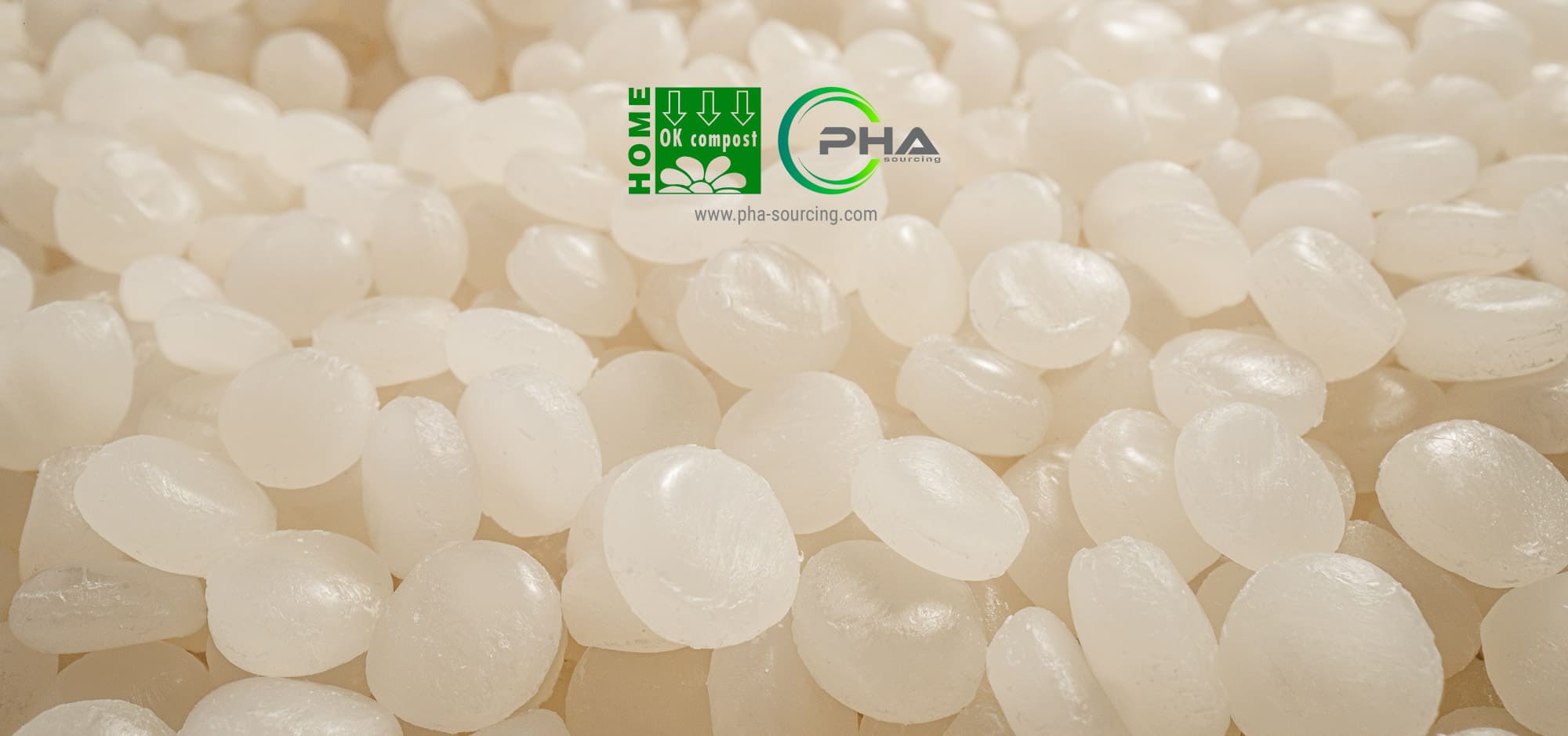 Biodegradable Materials - All You Need to Know